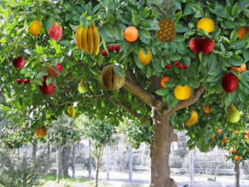 JESUS CHRIST THE TREE OF LIFE WITHIN US – His Precious Gift